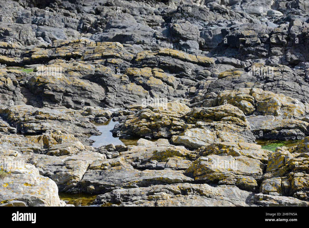 Carboniferous limestone rocks at Friars Point on Barry Island, Wales ...