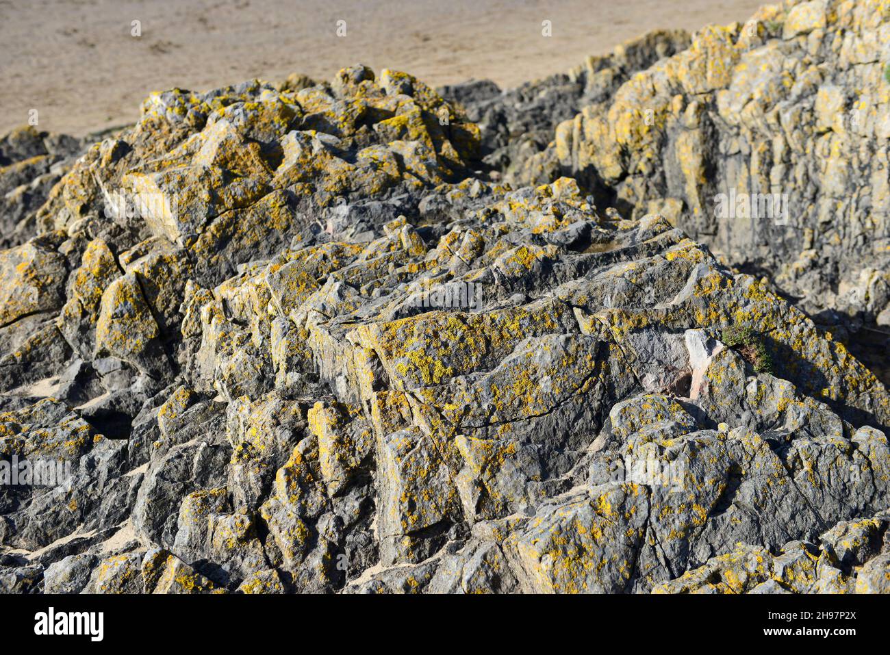 Carboniferous limestone rocks at Friars Point on Barry Island, Wales ...