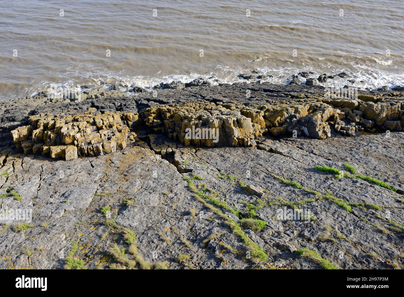 Carboniferous limestone rocks at Friars Point on Barry Island, Wales ...