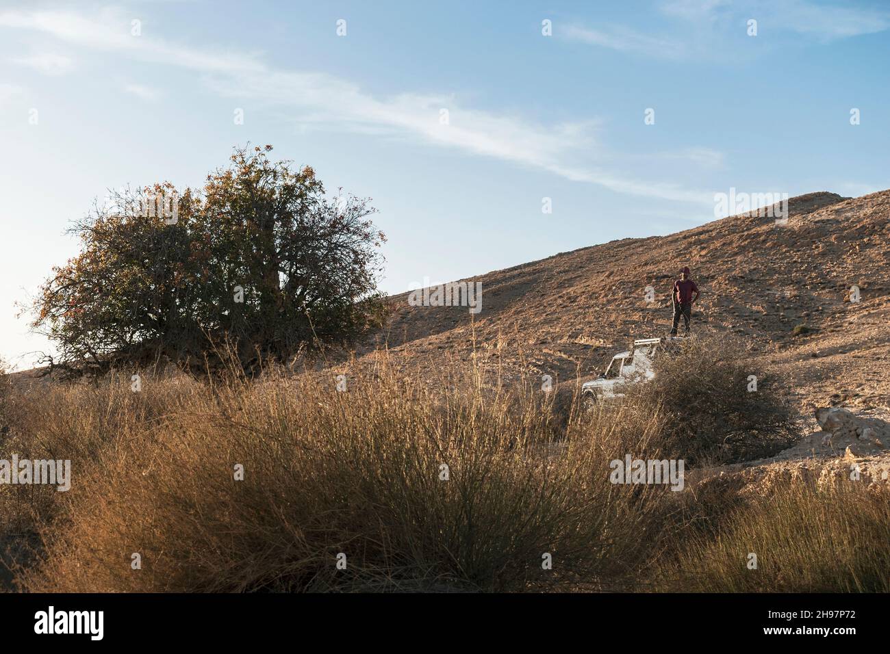 tour guide standing on his vehicle in order to get a better view of the ...