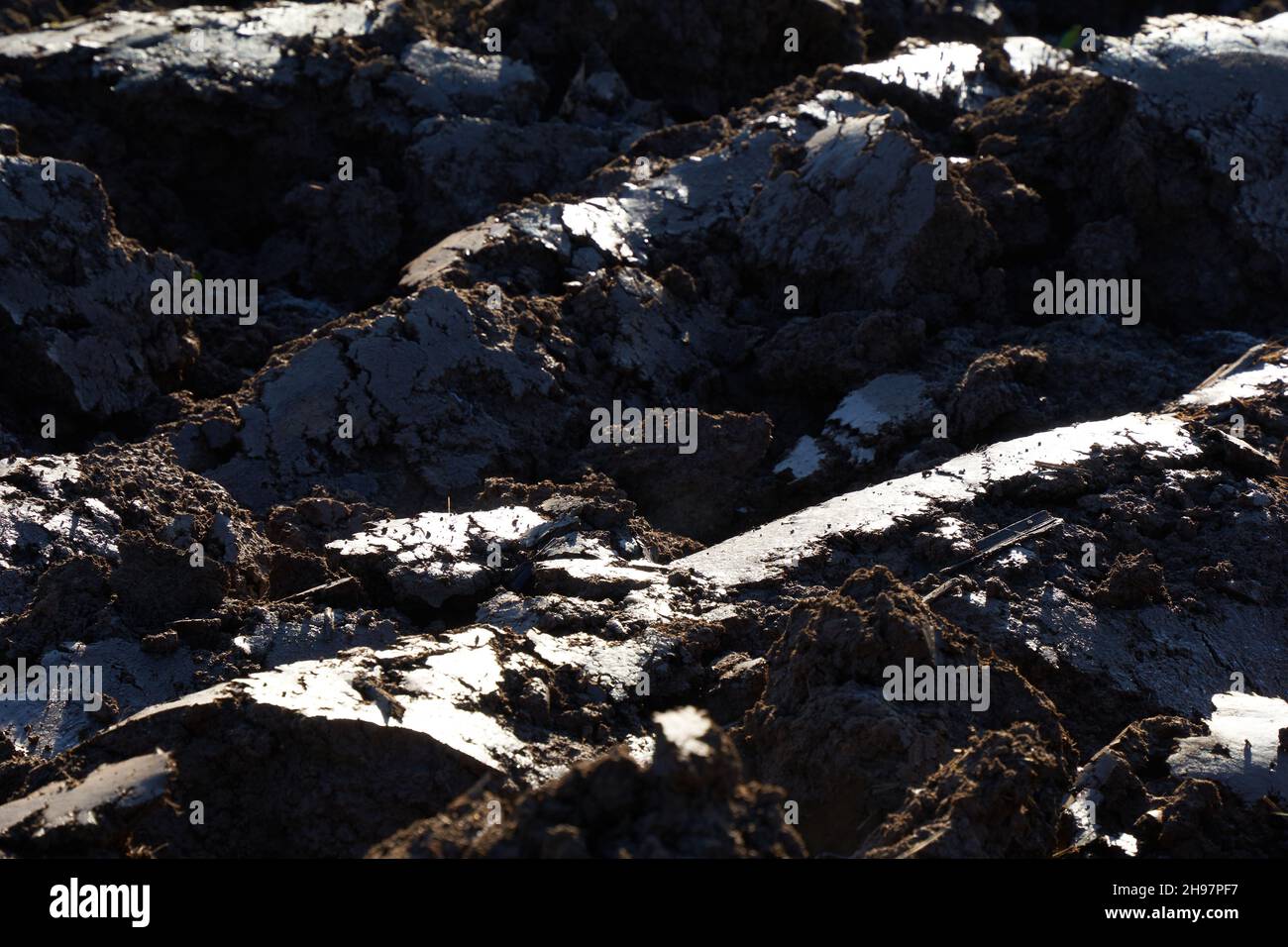 Close up of plowed earth, the nutritious soil shines brightly in the ...