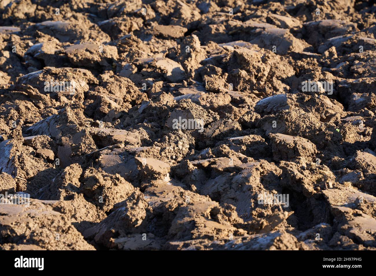 Close up of plowed earth, the nutritious soil is clean and even ...