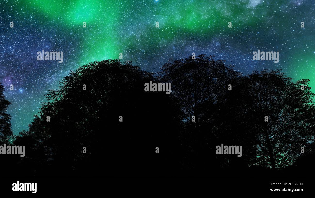 Polar lights in forest loop hi-res stock photography and images - Alamy