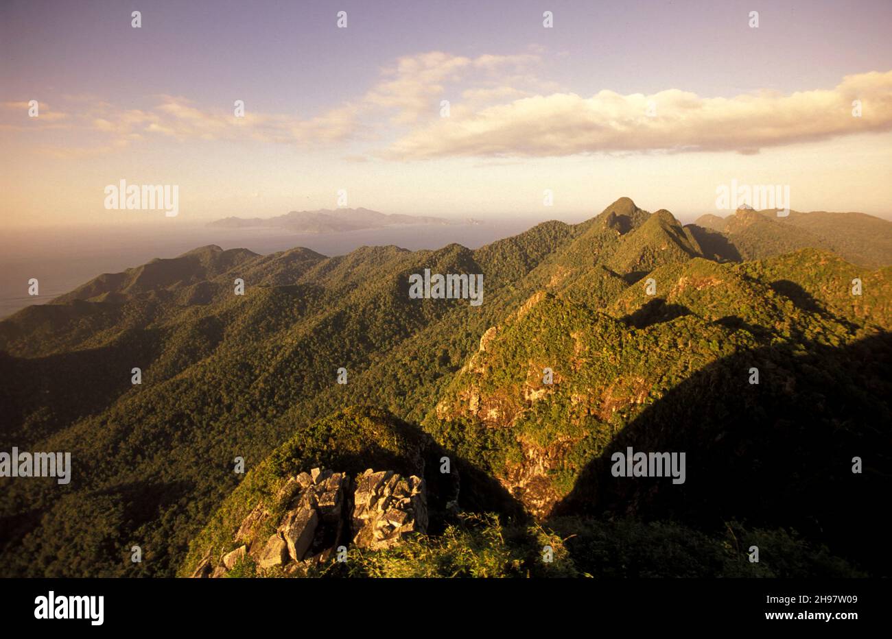 the rainforest and jungle Landscape at the Mountain area of Gunung ...