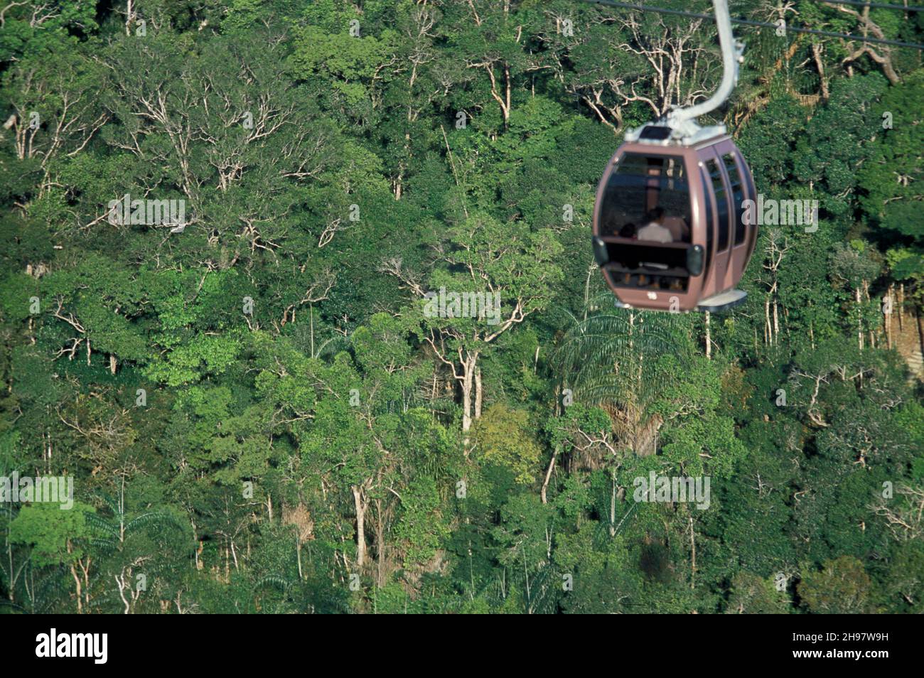 a cable car at the jungle Landscape at the Mountain area of Gunung ...