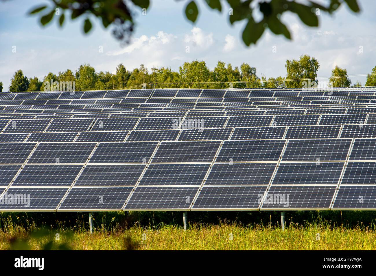 Rows of solar panels in a solar power plant Stock Photo - Alamy