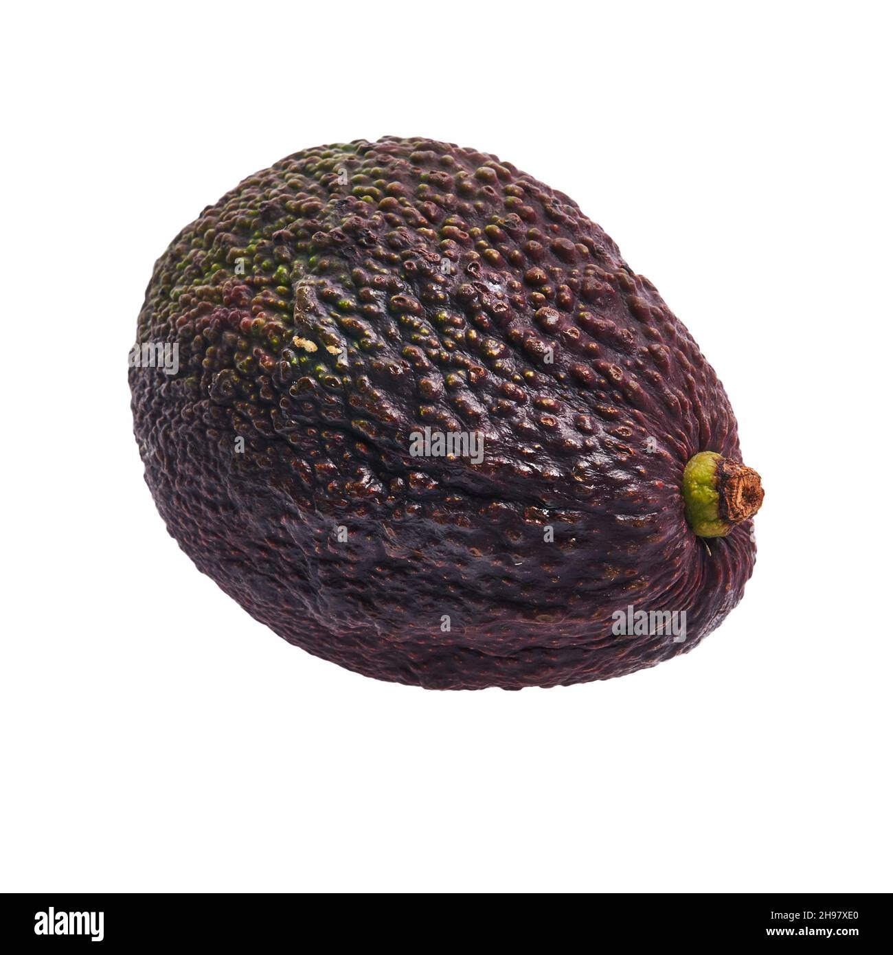 SIngle avocado fruit isolated over white background Stock Photo - Alamy