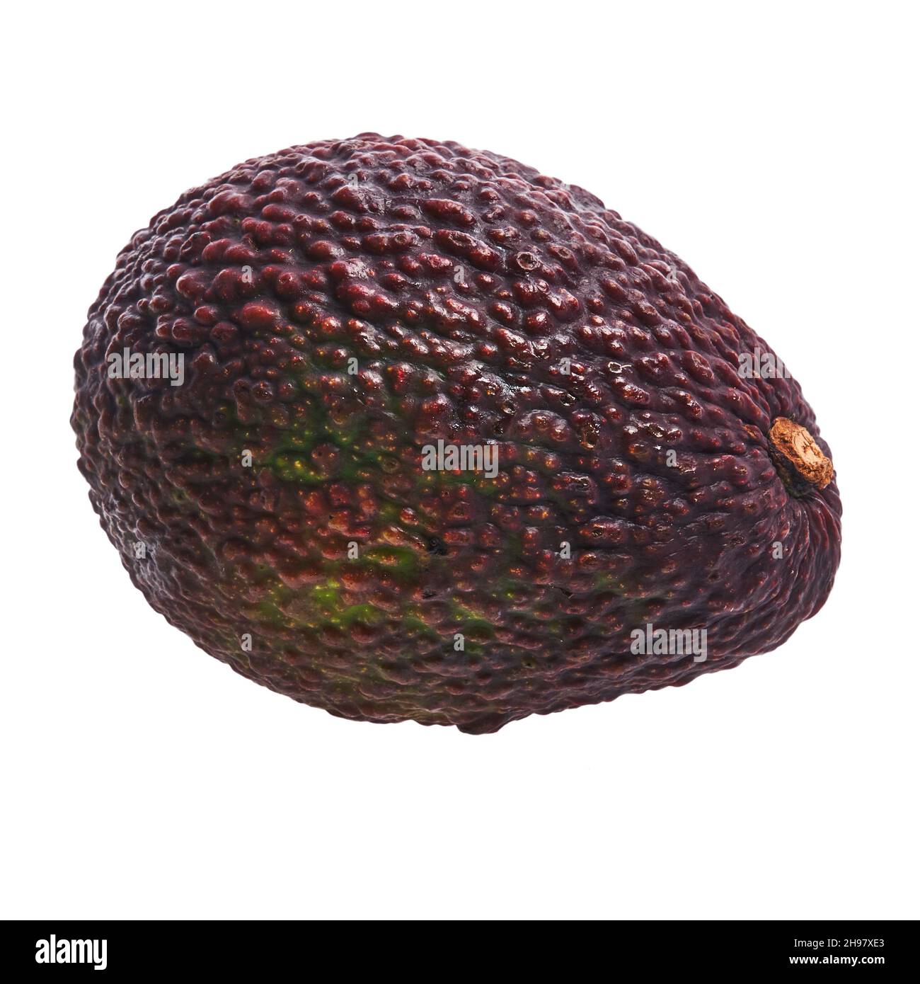 SIngle avocado fruit isolated over white background Stock Photo - Alamy