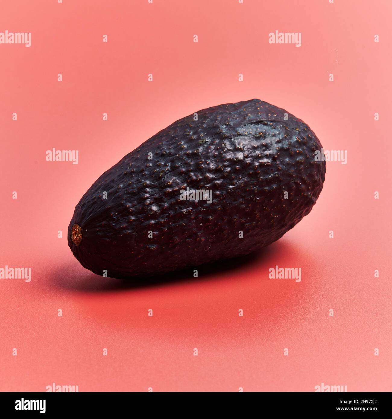 SIngle avocado fruit over red background Stock Photo - Alamy