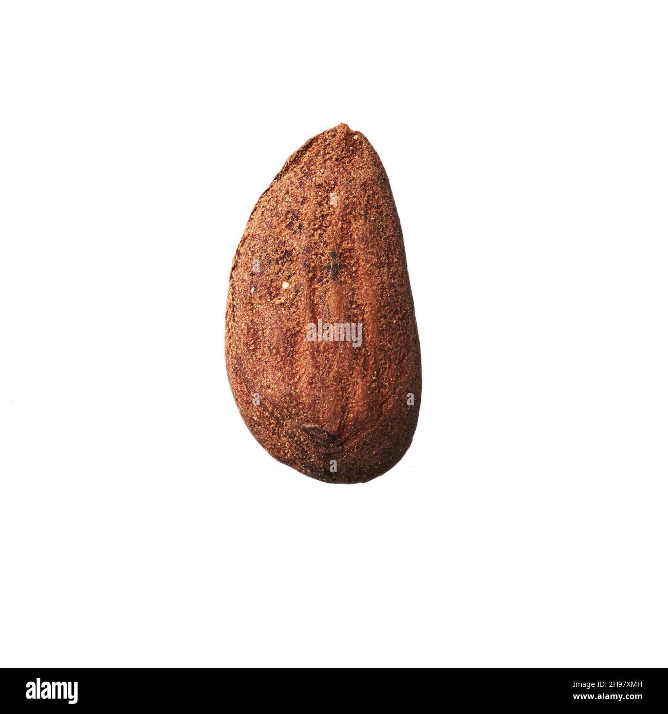 Single almond isolated over white background Stock Photo - Alamy