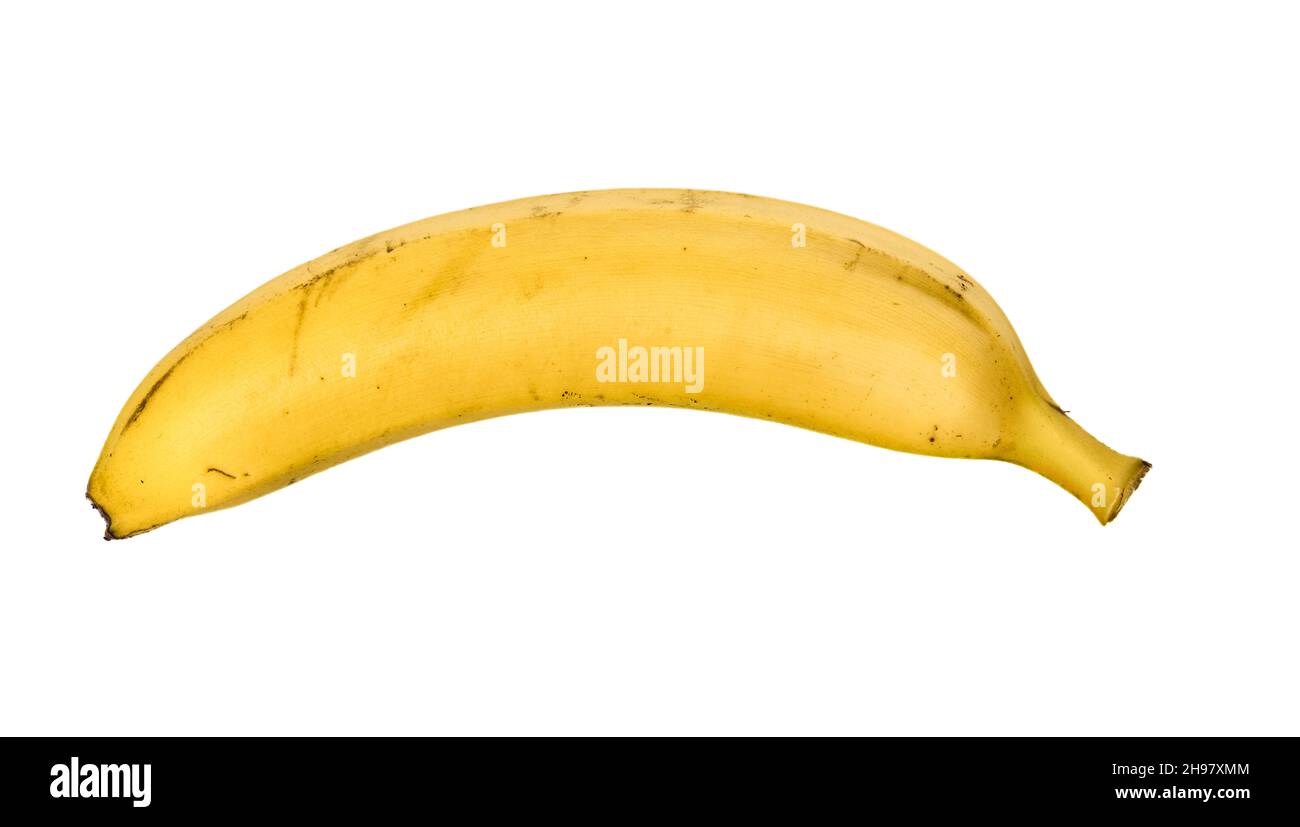 Single banana isolated on a white background Stock Photo - Alamy
