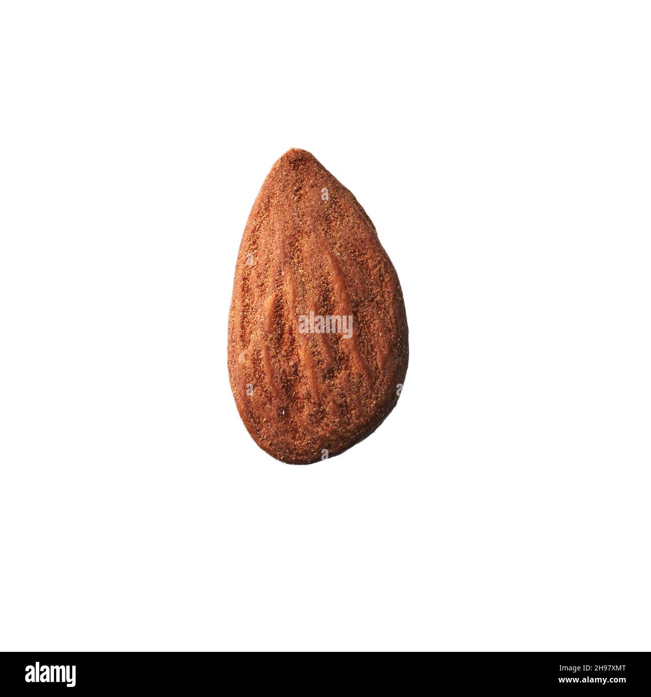 Single almond isolated over white background Stock Photo - Alamy