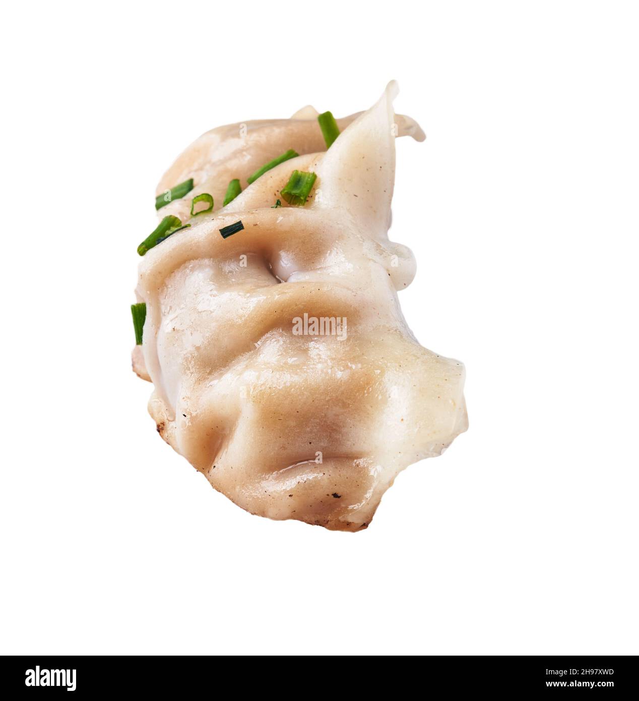 Single delicious chinese gyoza isolated on a white background Stock ...