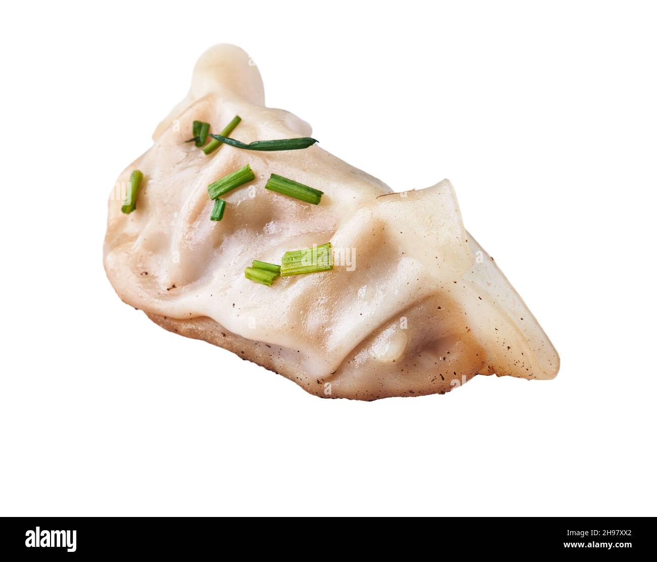 Single delicious chinese gyoza isolated on a white background Stock ...