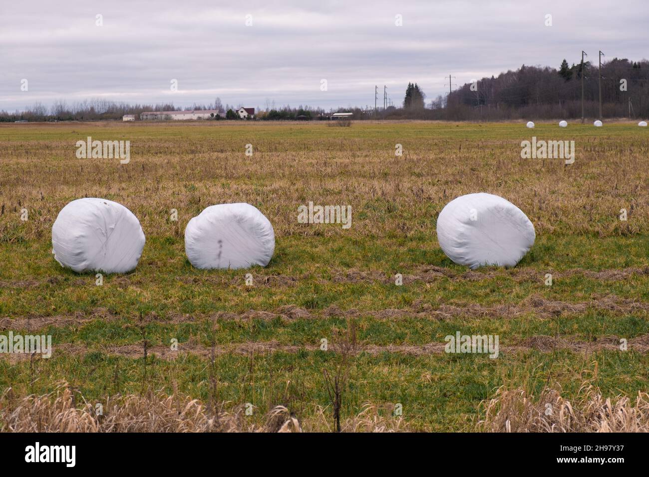 Packed row hi-res stock photography and images - Alamy