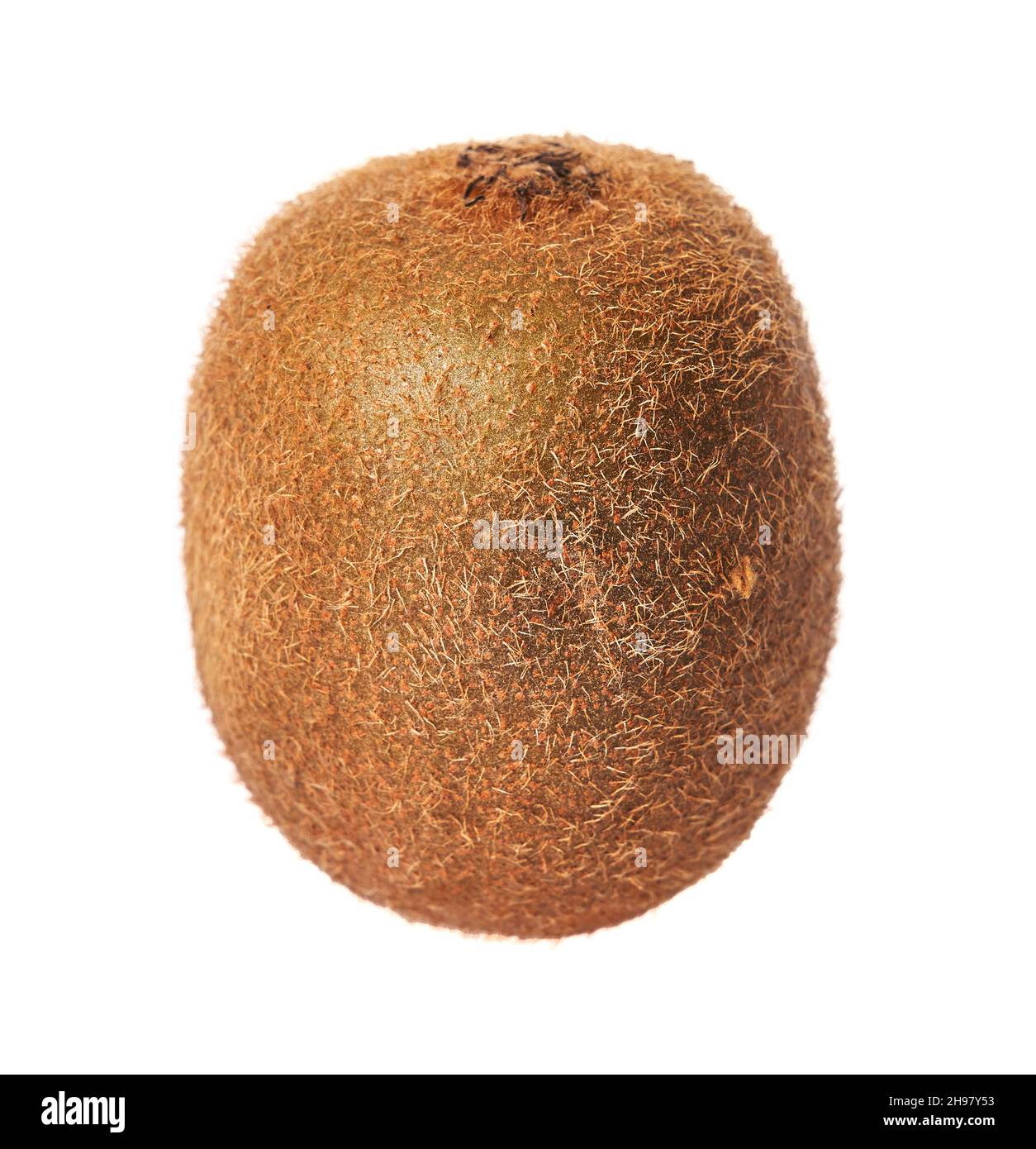 Single kiwi isolated on a white background Stock Photo - Alamy