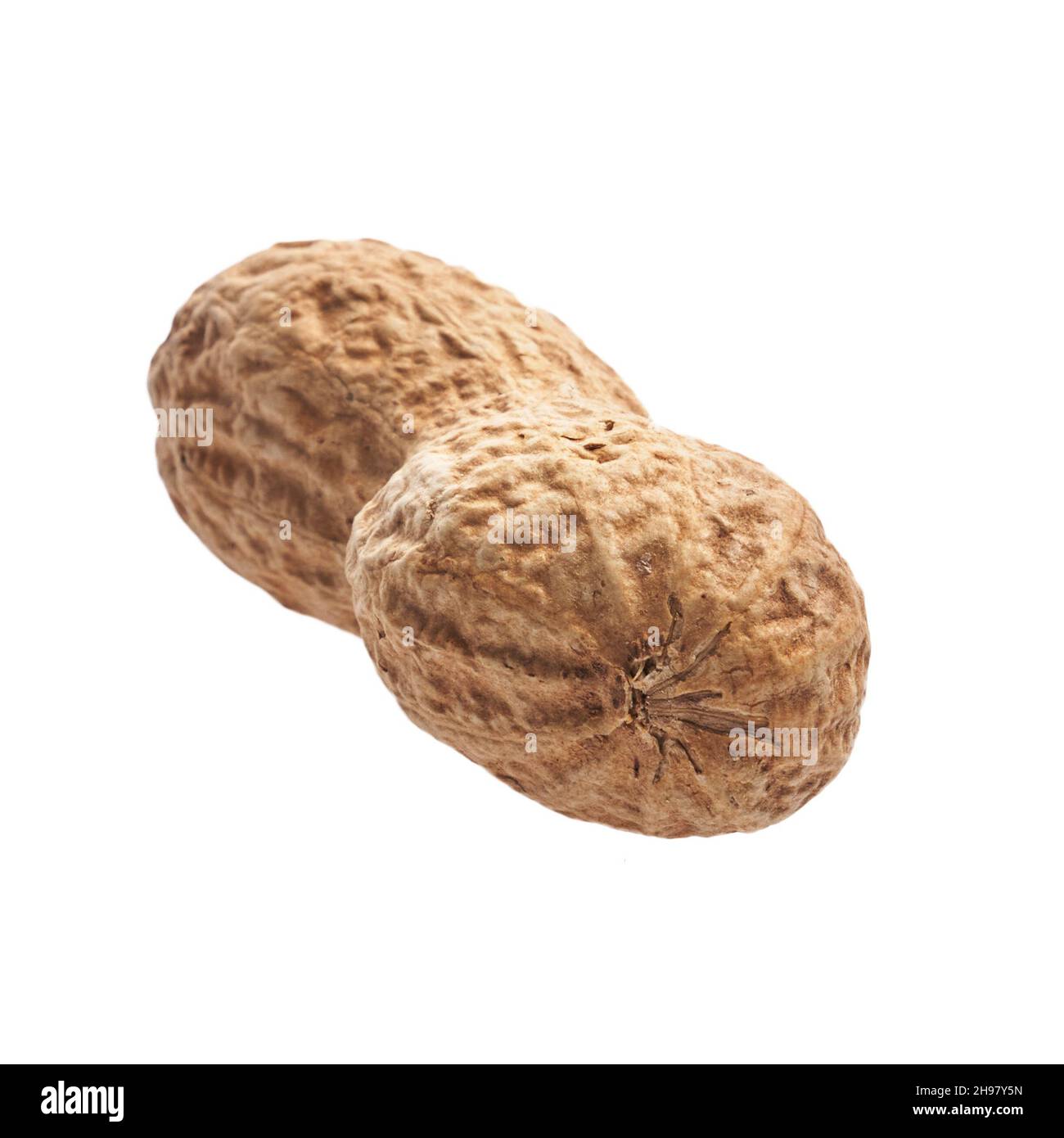Single peanut with shell isolated on a white background Stock Photo - Alamy