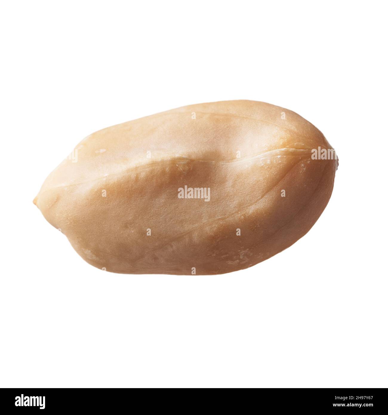 Single peeled peanut isolated on a white background Stock Photo - Alamy