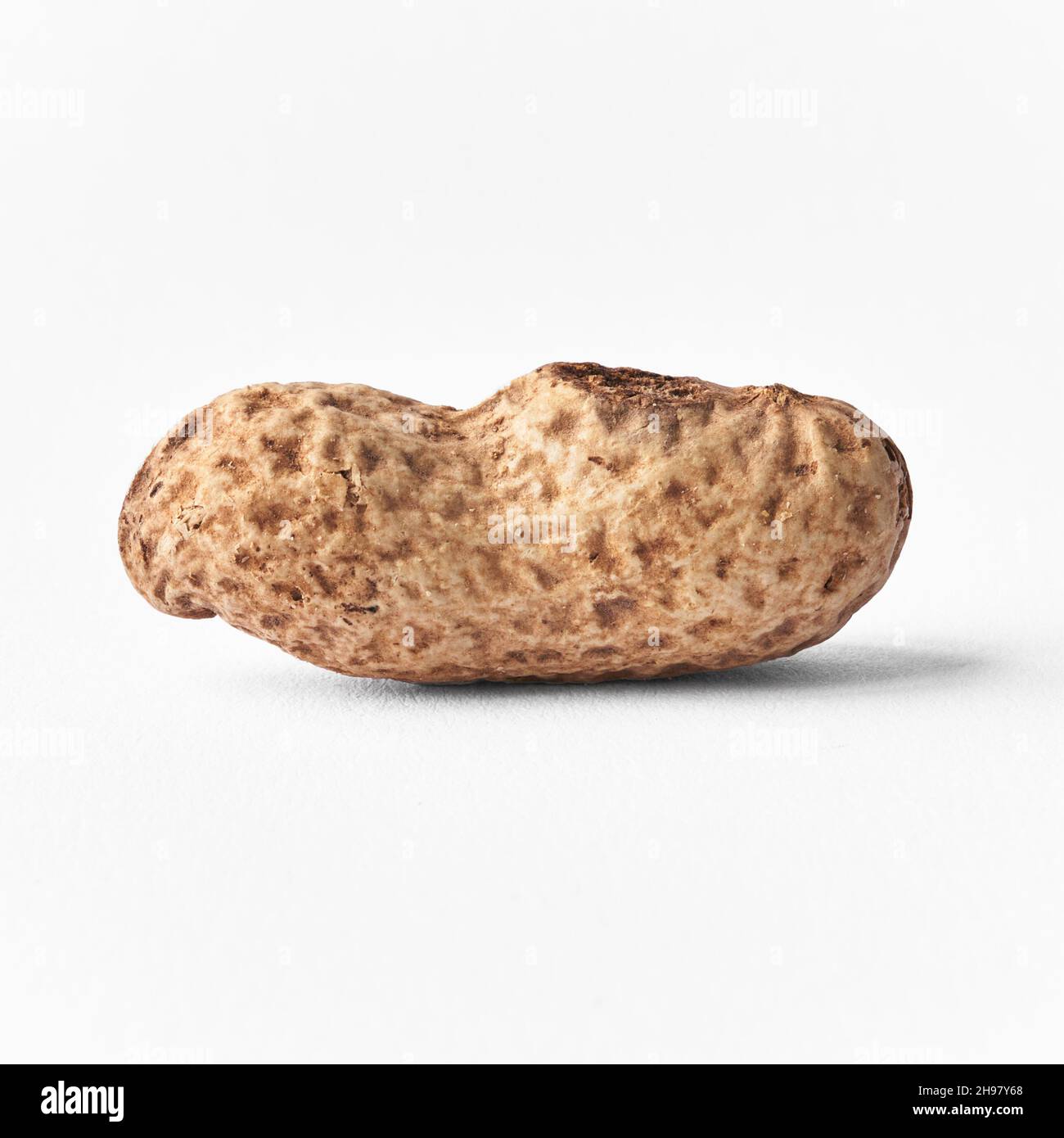 Single peanut with shell isolated on a white background Stock Photo - Alamy