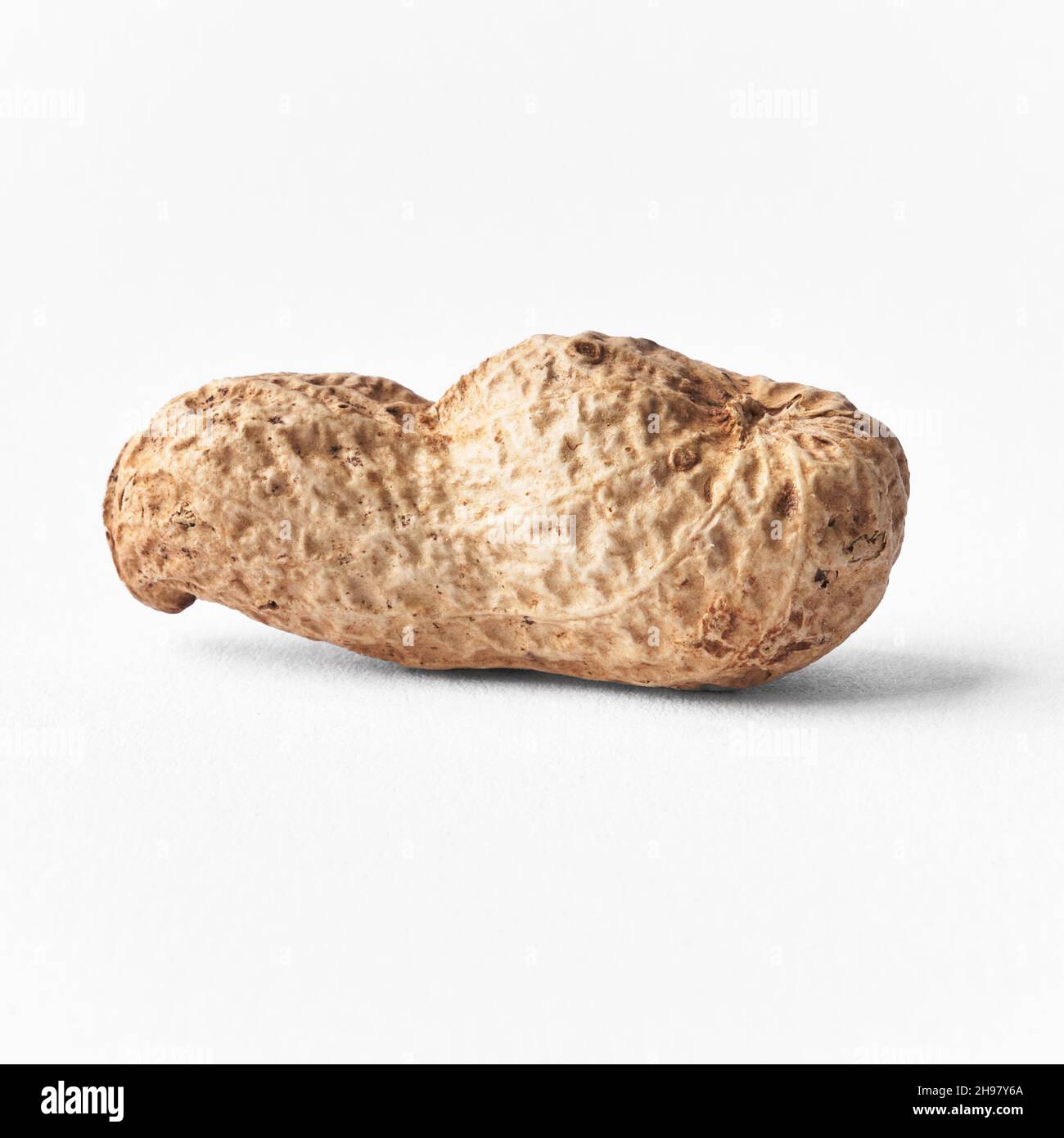 Single peanut with shell isolated on a white background Stock Photo - Alamy