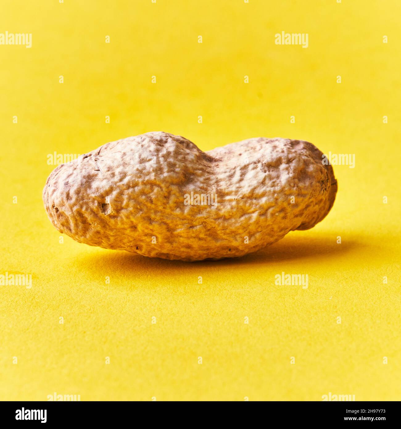 Single peanut with shell on a yellow background Stock Photo - Alamy