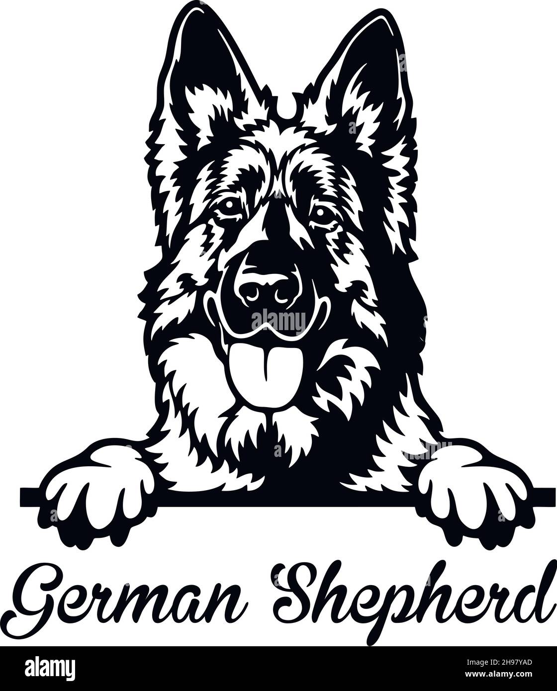 German Shepherd Peeking Dog - head isolated on white - vector stock ...