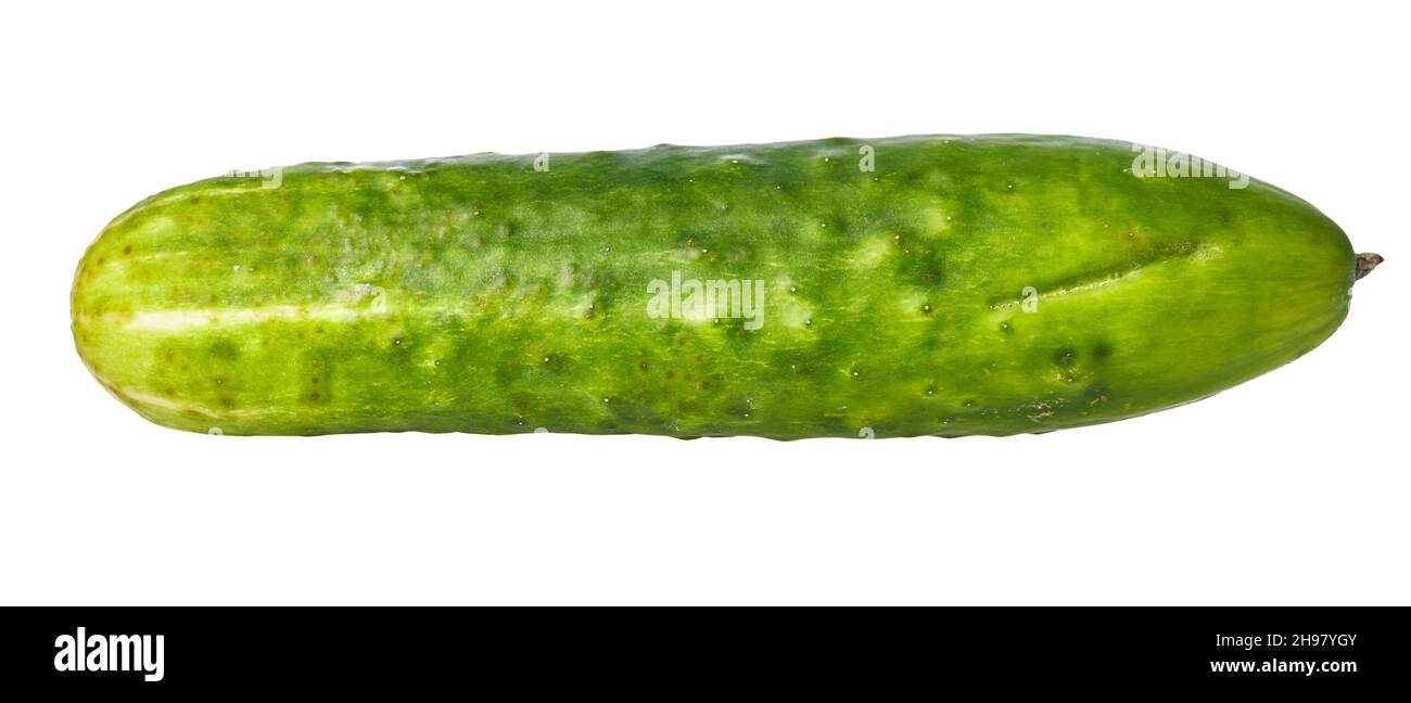 Single cucumber isolated on a white background Stock Photo - Alamy