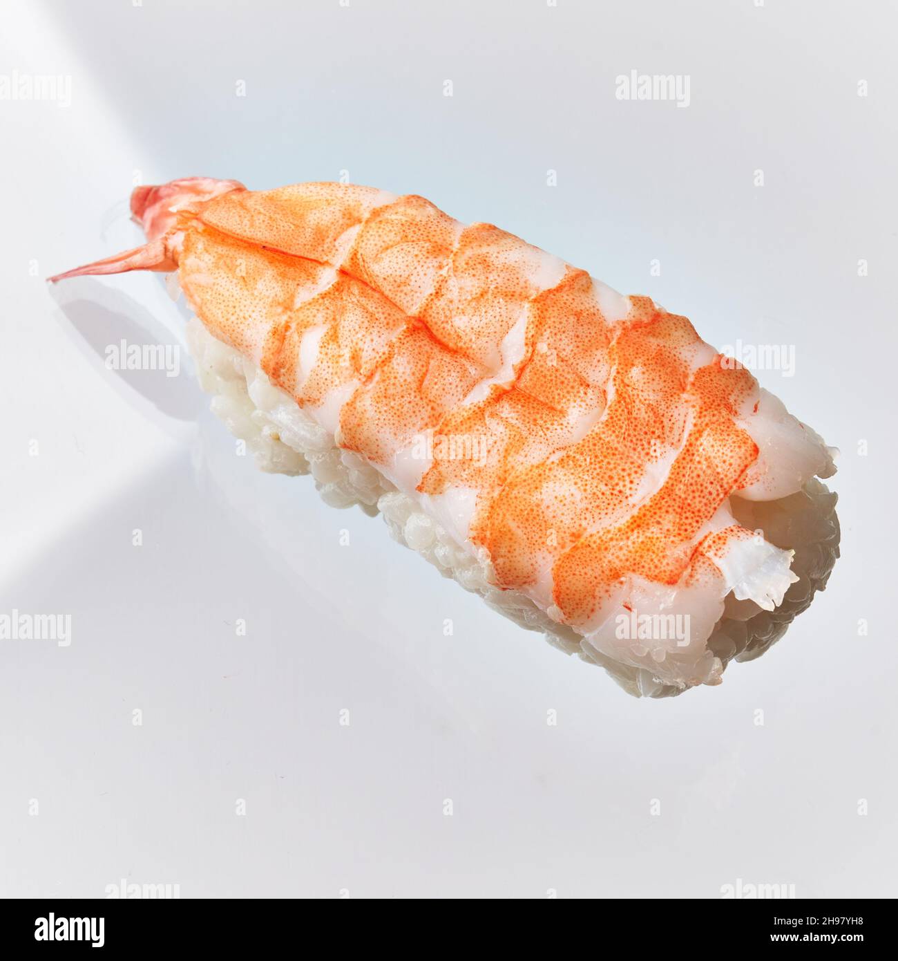 Single shrimp nigiri sushi isolated on white background Stock Photo - Alamy