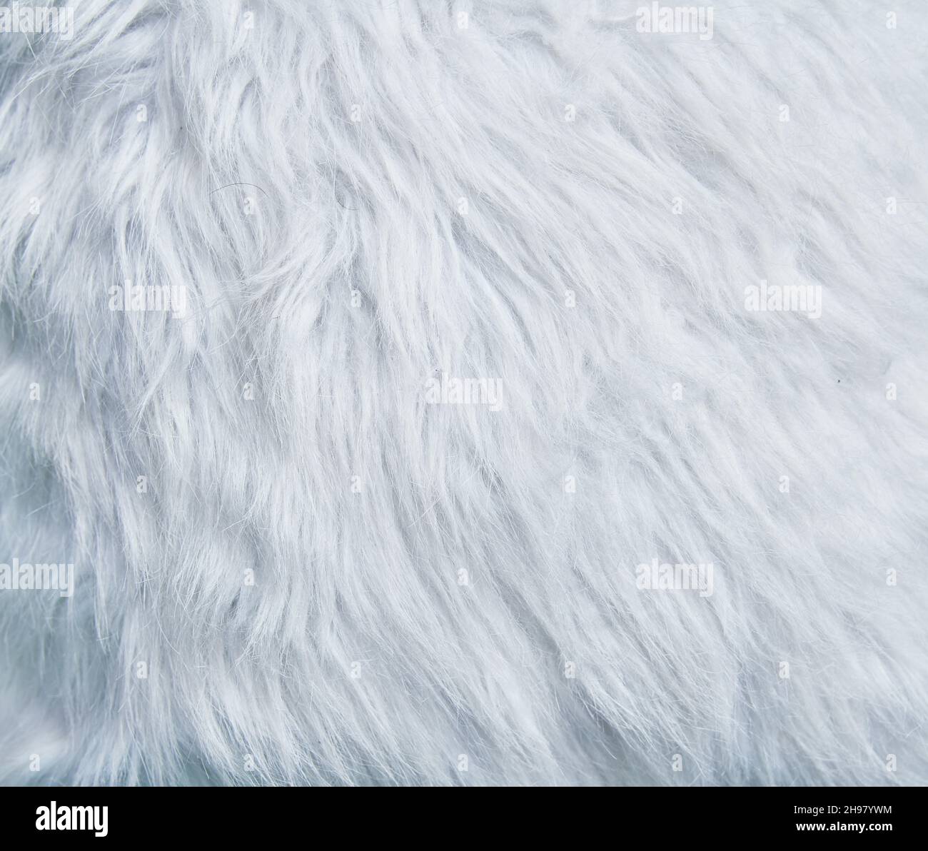 Beautiful fur texture image Stock Photo - Alamy