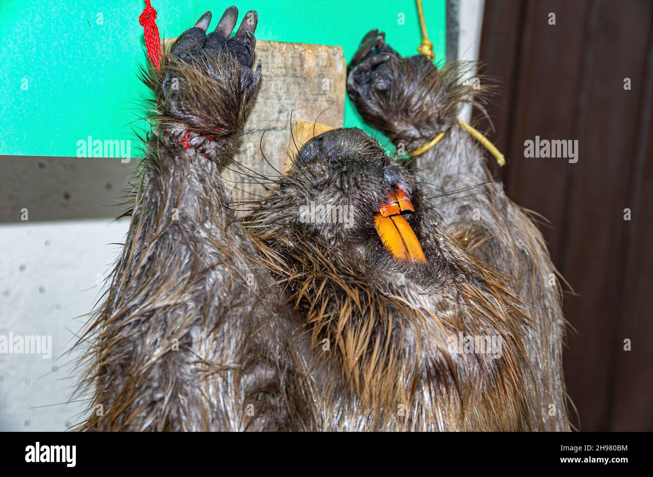 Death by hanging hi-res stock photography and images - Alamy