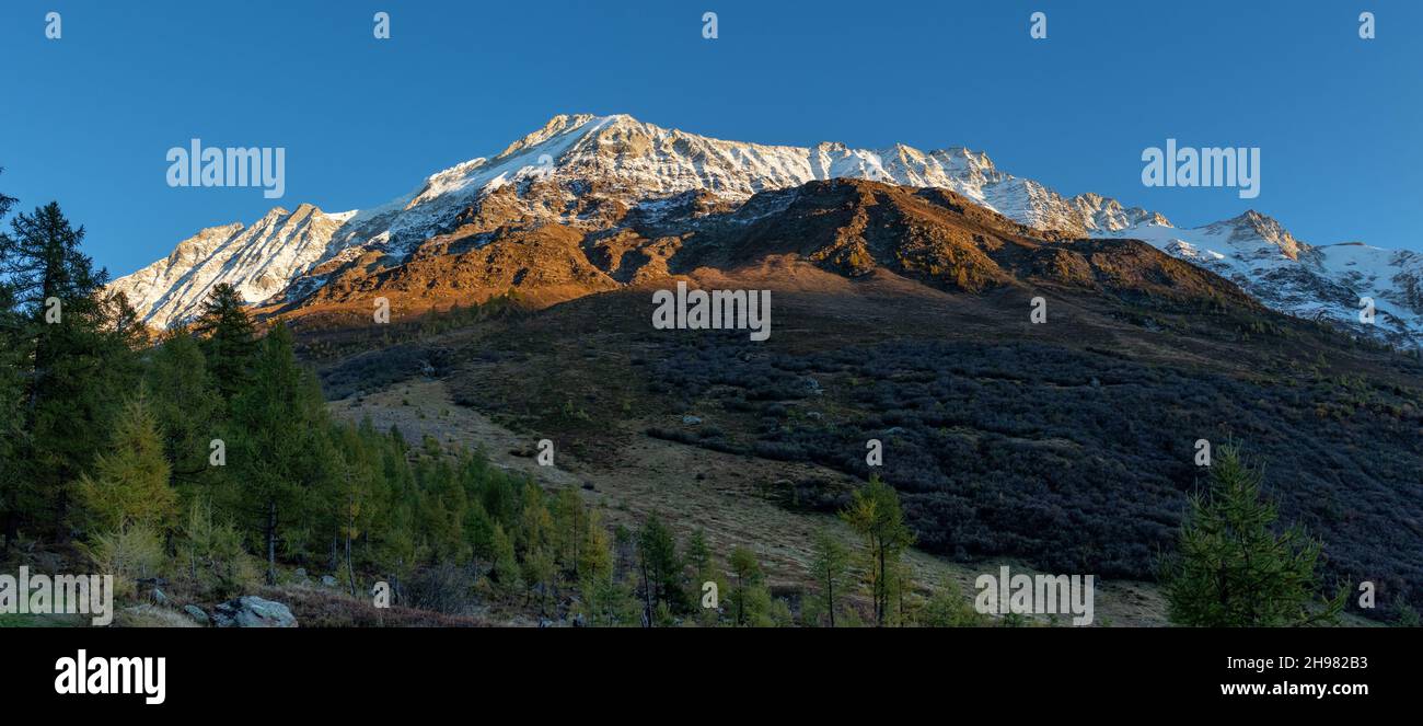 A beautiful mountain landscape with autumn larch trees in valley ...
