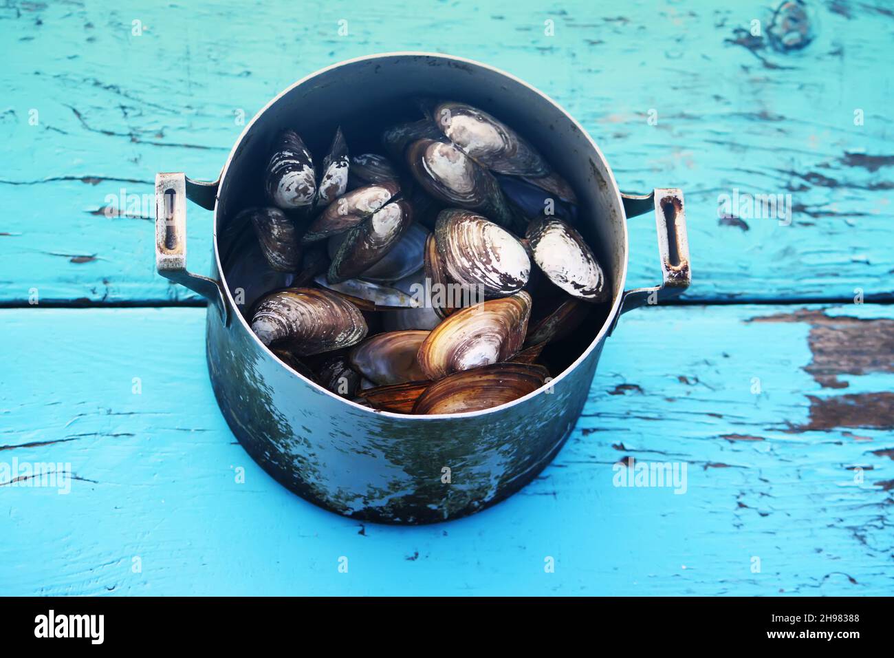 Mussels in an old pan on a wooden table outdoors Stock Photo - Alamy