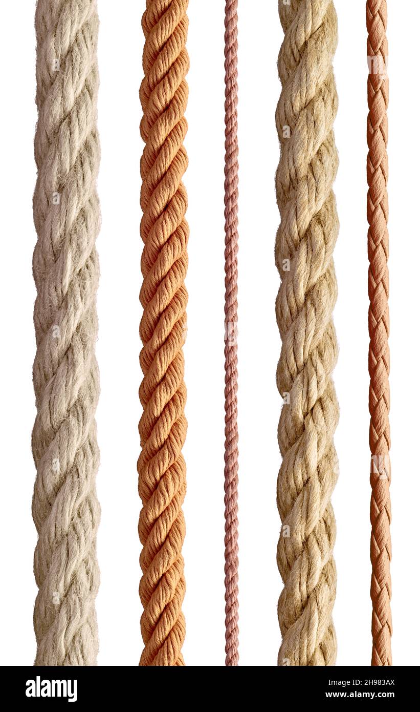 collection of various ropes string on white background. each one is ...