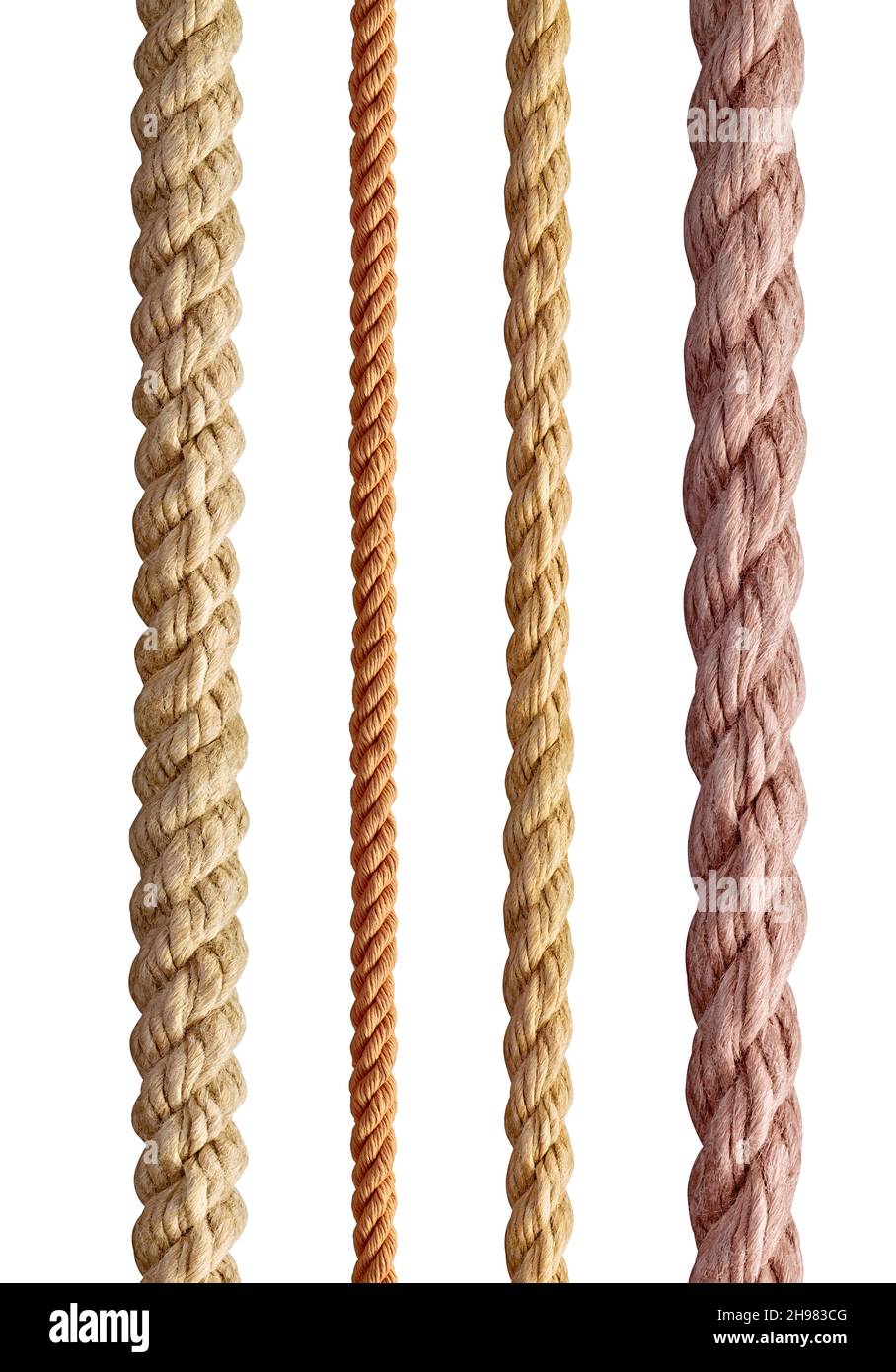 collection of various ropes string on white background. each one is ...