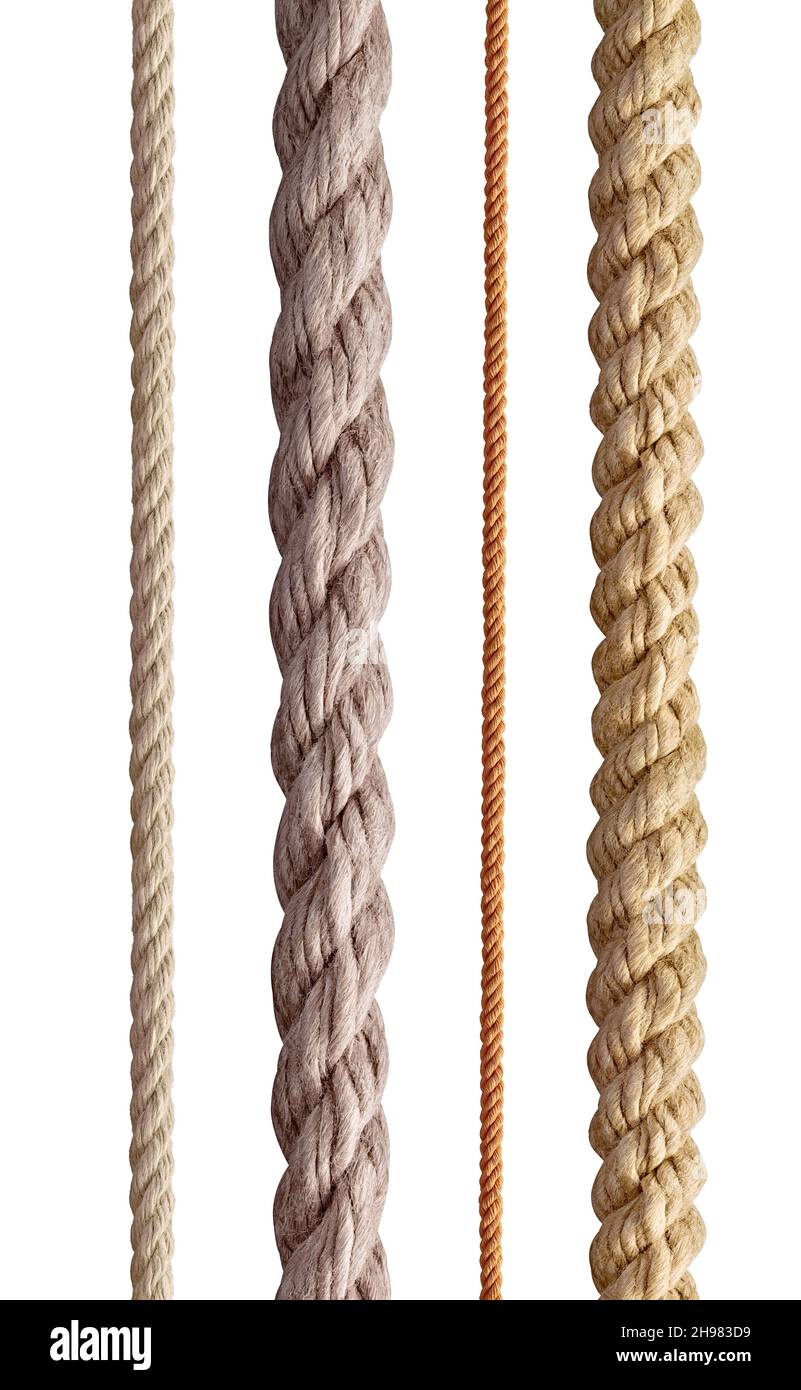 collection of various ropes string on white background. each one is ...