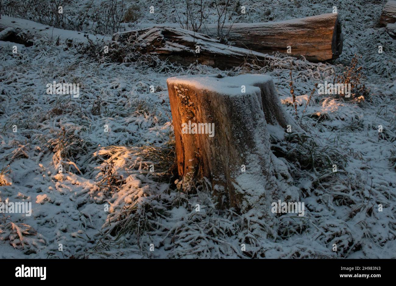 Viks castle hi-res stock photography and images - Alamy