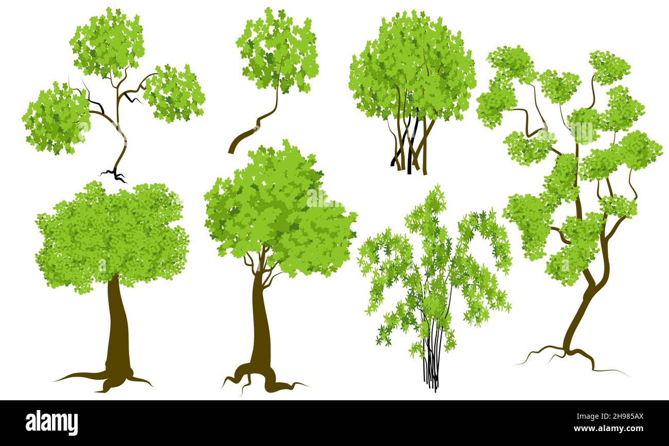 vector trees isolated on white background, vector trees set image ... vector trees isolated on white background, vector trees set image ...