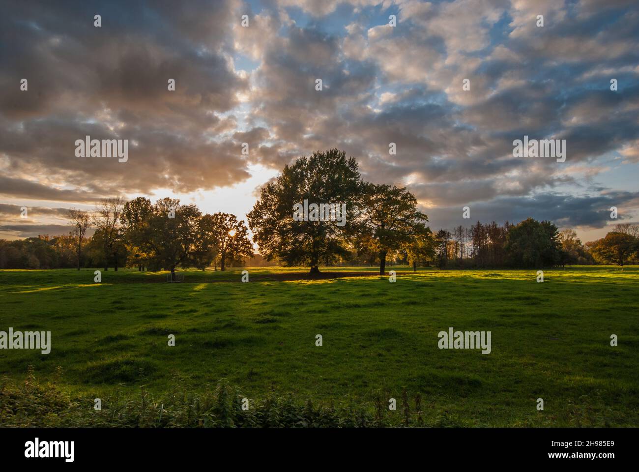 The sunset behind trees in a floodplain bathes the landscape in warm ...