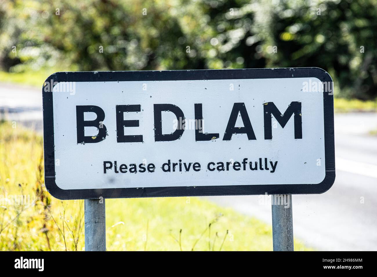 Bull Sign Humour High Resolution Stock Photography and Images - Alamy