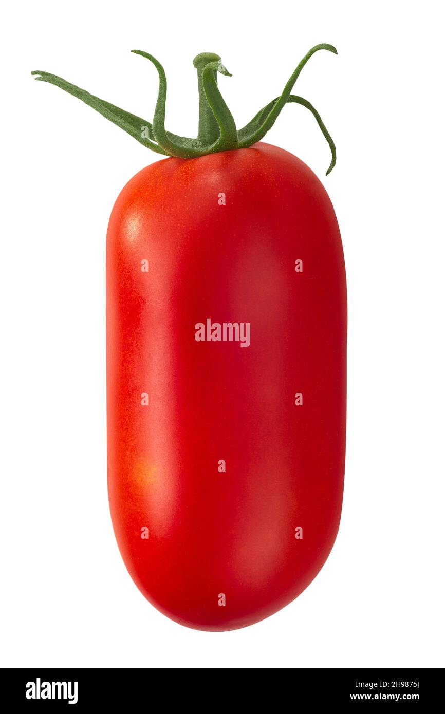 Red oblong plumelike tomato (Solanum lycopersicum fruit), isolated ...