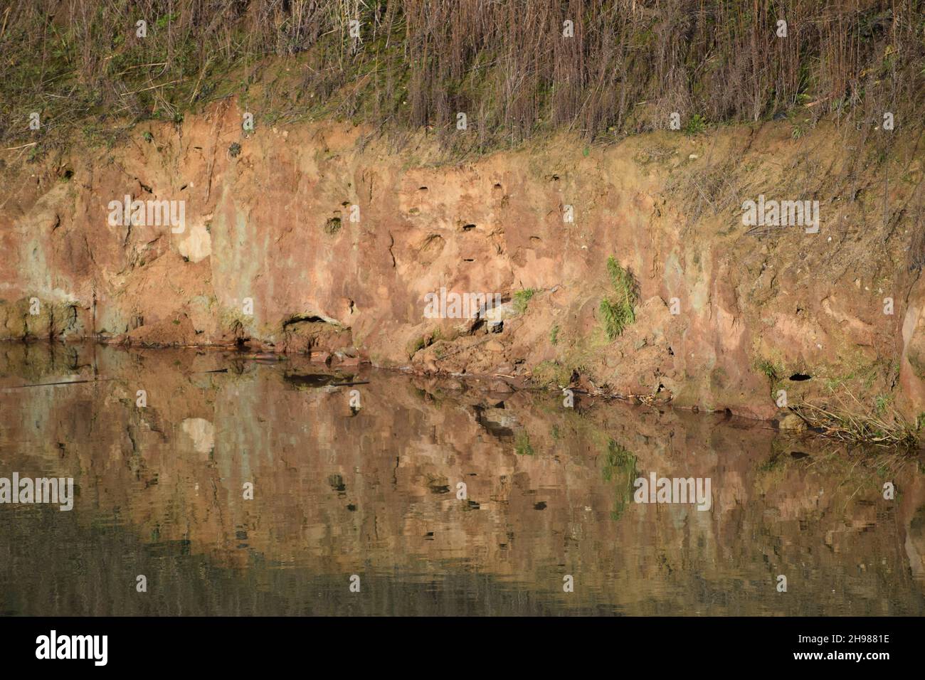 abandoned Breeding caves of Kingfishers Stock Photo - Alamy