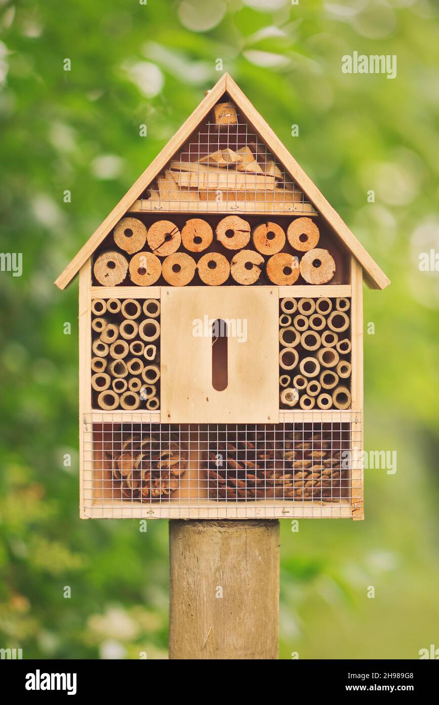 Closeup shot of handmade small wooden house with tiny holes that serves ...