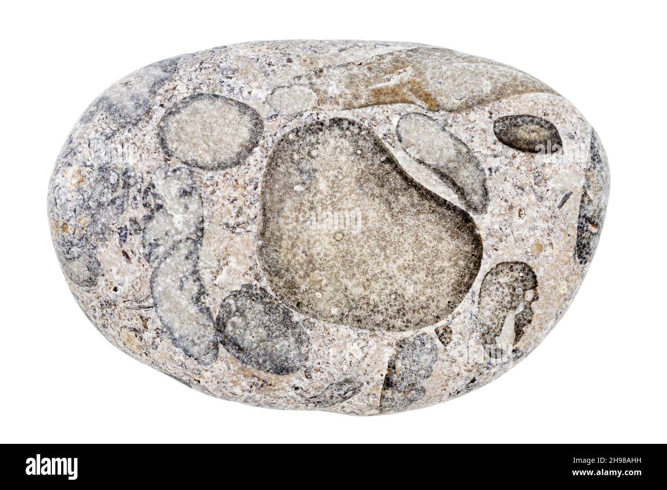 Top view of single gray pebble isolated on white background Stock Photo ...