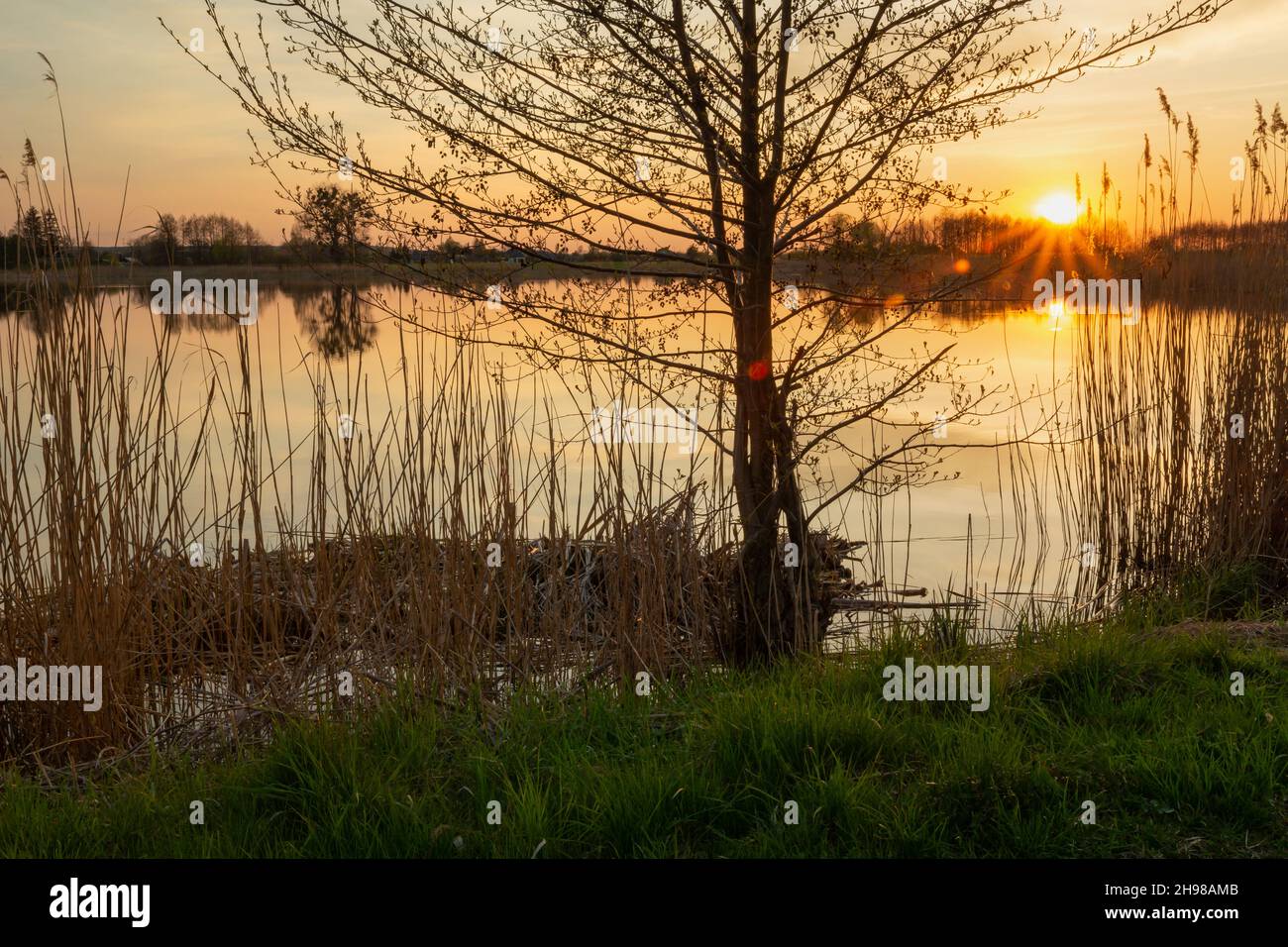 Sunlight sunset tranquil tree view water hi-res stock photography and ...