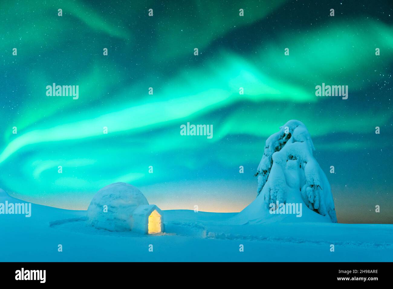 Aurora borealis. Northern lights in winter mountains. Wintry scene with ...