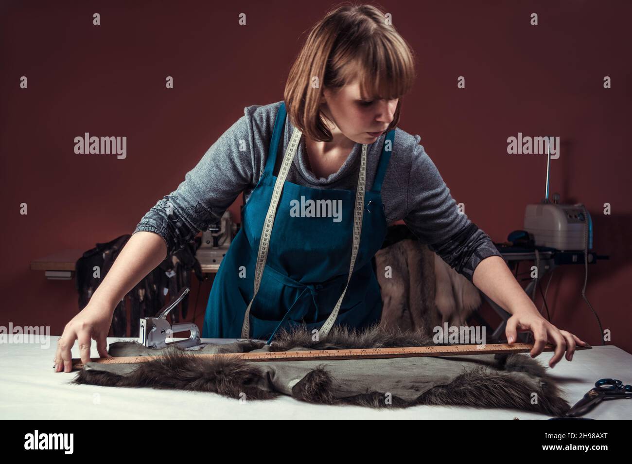 Measuring animal fur with meter Stock Photo - Alamy
