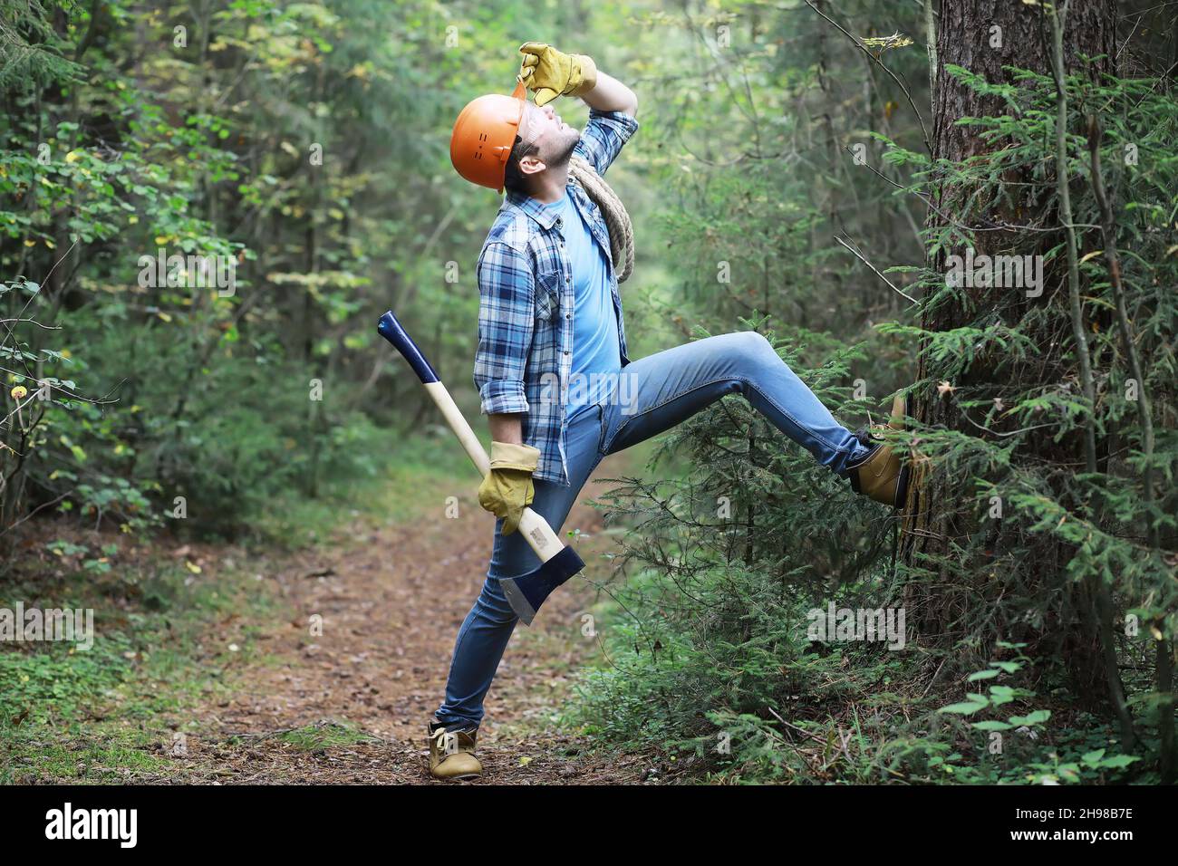 Male lumberjack in the forest. Professional woodcutter inspects trees ...