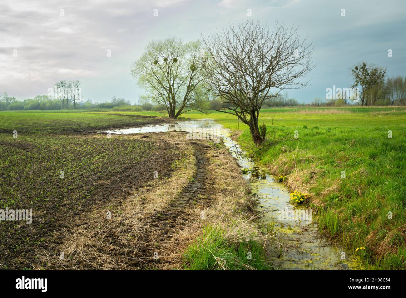 Sowed field and a ditch with water after rainfall Stock Photo - Alamy