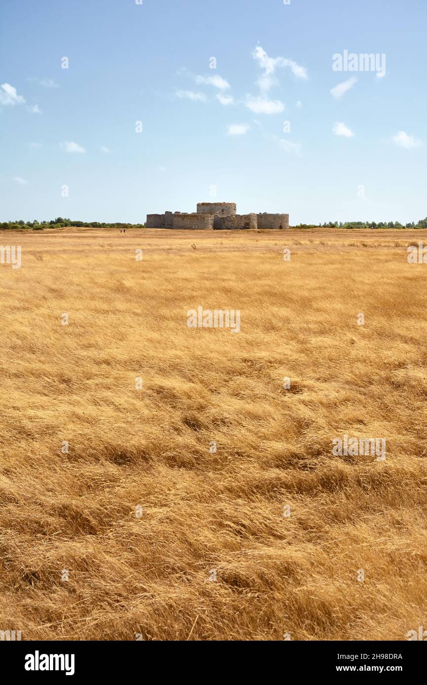 Camber Castle tudor fortress, Rye, East Sussex, UK Stock Photo - Alamy