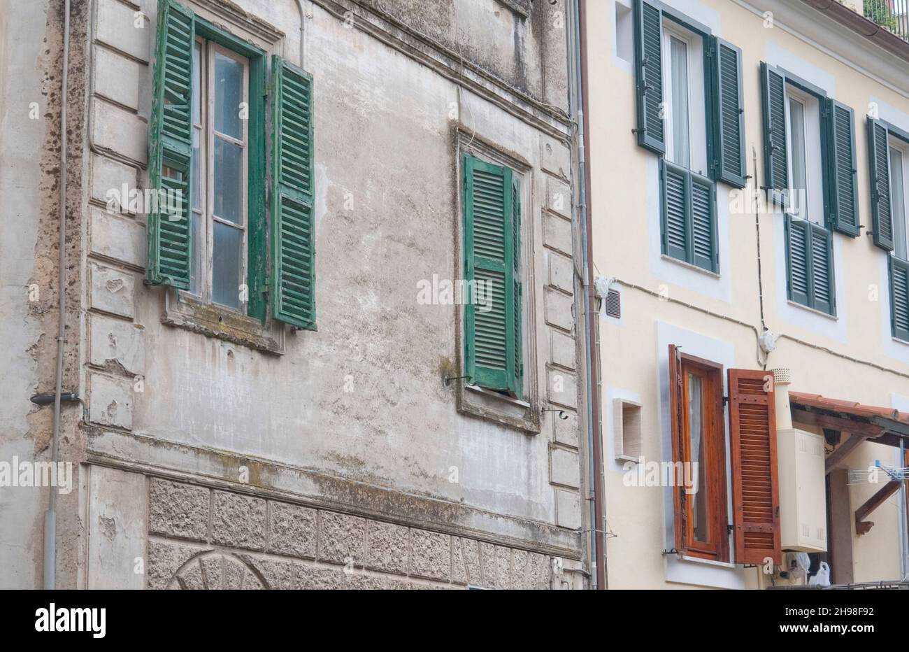 Sambuco comune hi-res stock photography and images - Alamy